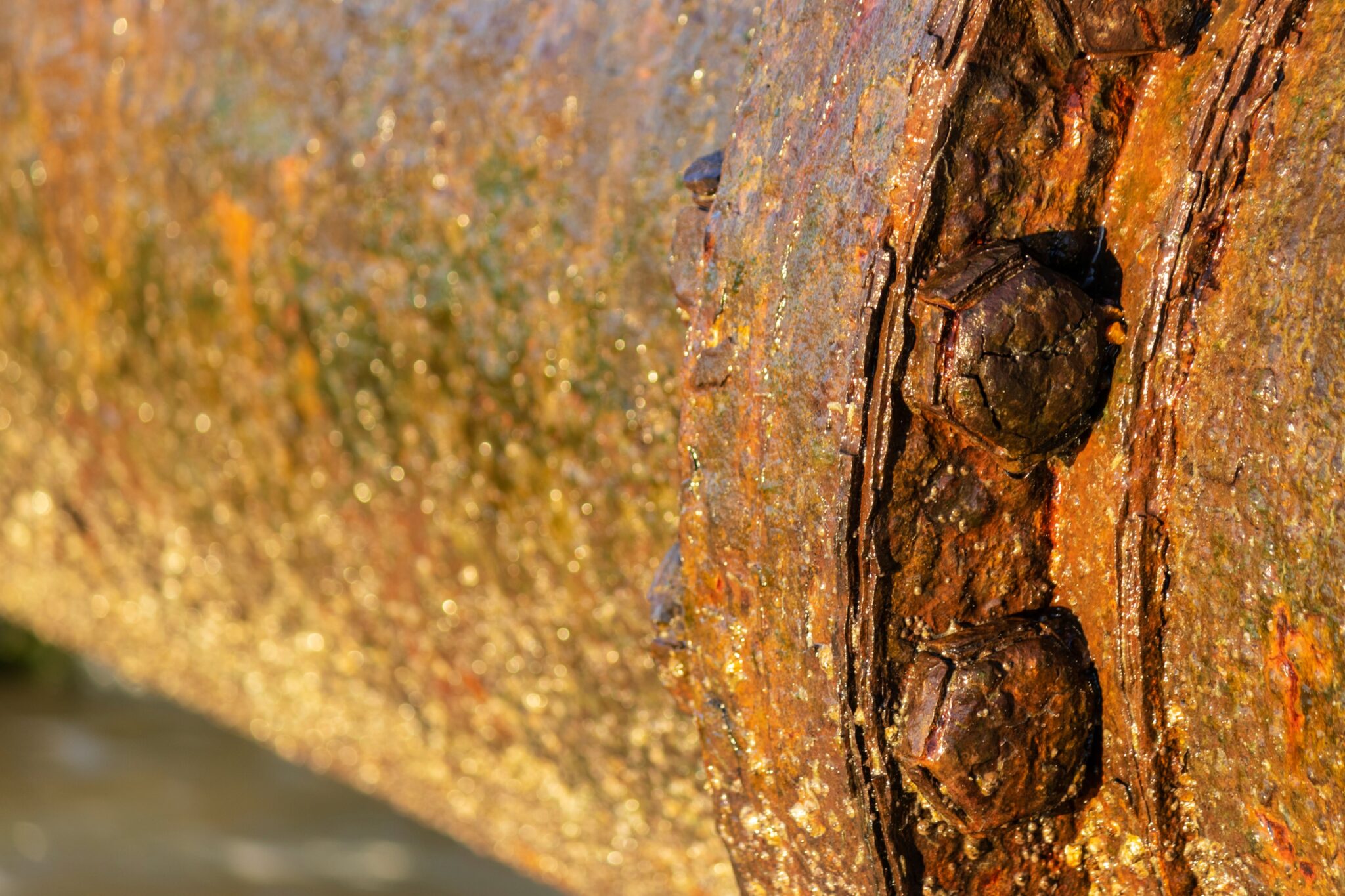 How to Prevent Condensation and Corrosion Under Insulation (CUI ...